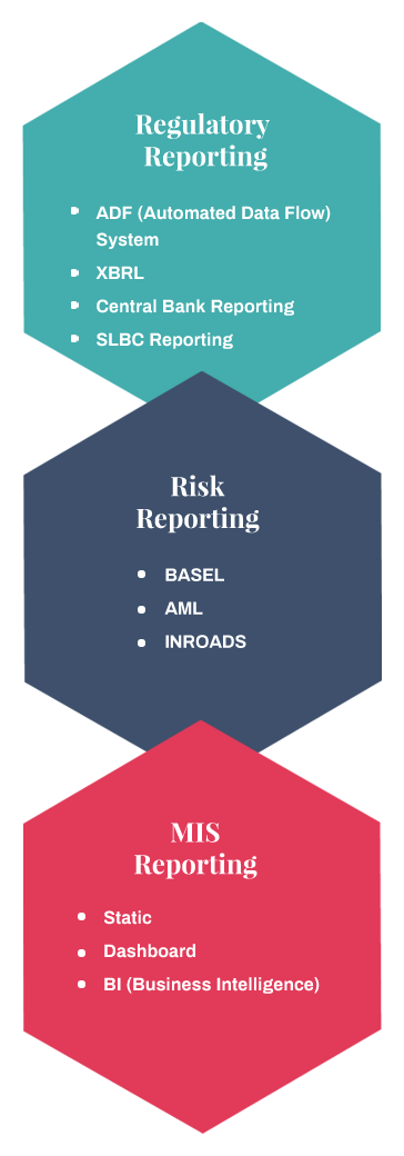 Enterprise Reporting | XBRL Regulatory Reporting | Risk Reporting | Nelito